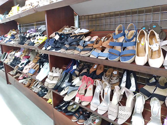 Women's shoes arranged with surprising precision, a collection that spans from practical flats to aspirational heels for every possible Florida occasion.