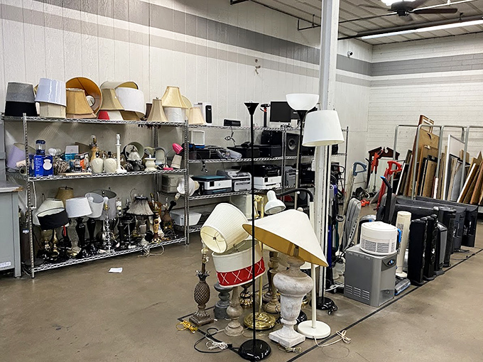 Lamp district! From mid-century modern to "my grandmother had that exact one," lighting options that brighten rooms and wallets.