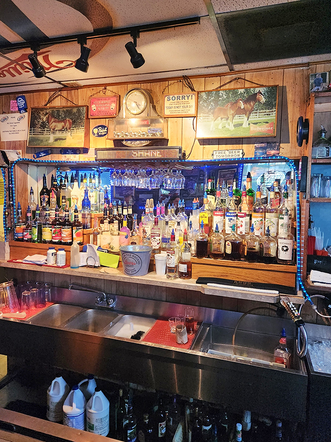 Behind every great neighborhood bar is a well-stocked shelf. The blue lights add a touch of underwater magic to this liquid library.