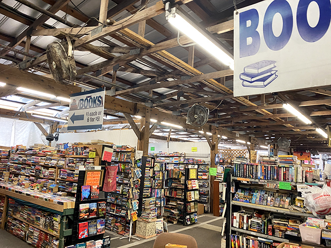 A bibliophile's dream where books create their own architecture. The smell of paper and possibility hangs in the air like literary perfume.