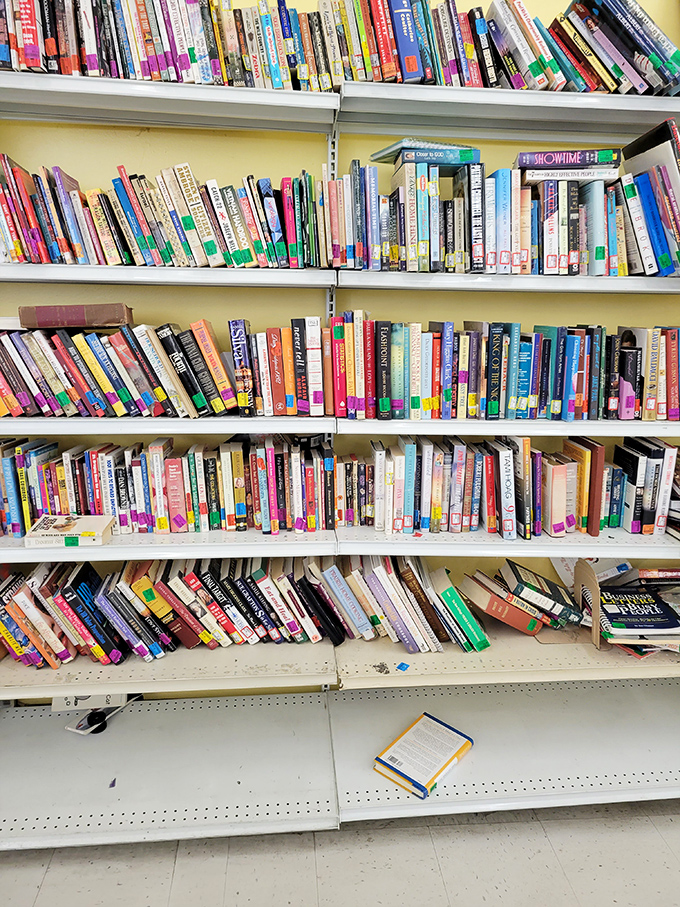 Books stacked with the potential to transport you anywhere&mdash;cookbooks beside mysteries beside self-help guides. Library cards not required!