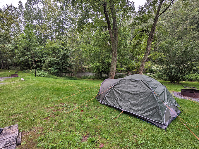 Camping simplicity at its finest&mdash;where your backyard temporarily includes ancient trees, birdsong alarms, and zero HOA restrictions.