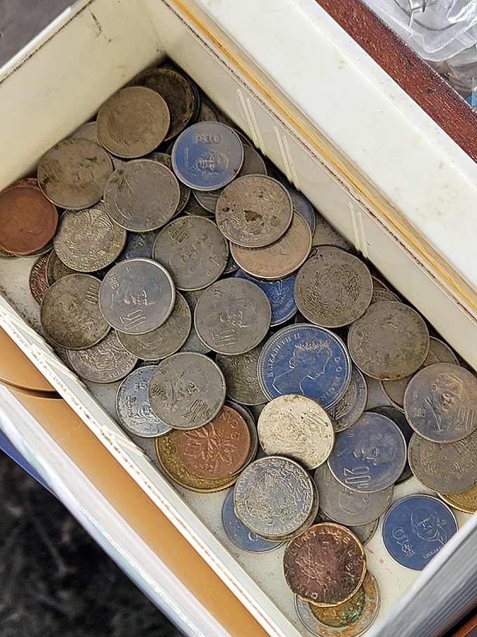 Numismatist heaven in a humble white container. Each tarnished coin represents a moment in history, a forgotten transaction, a story waiting to be polished.