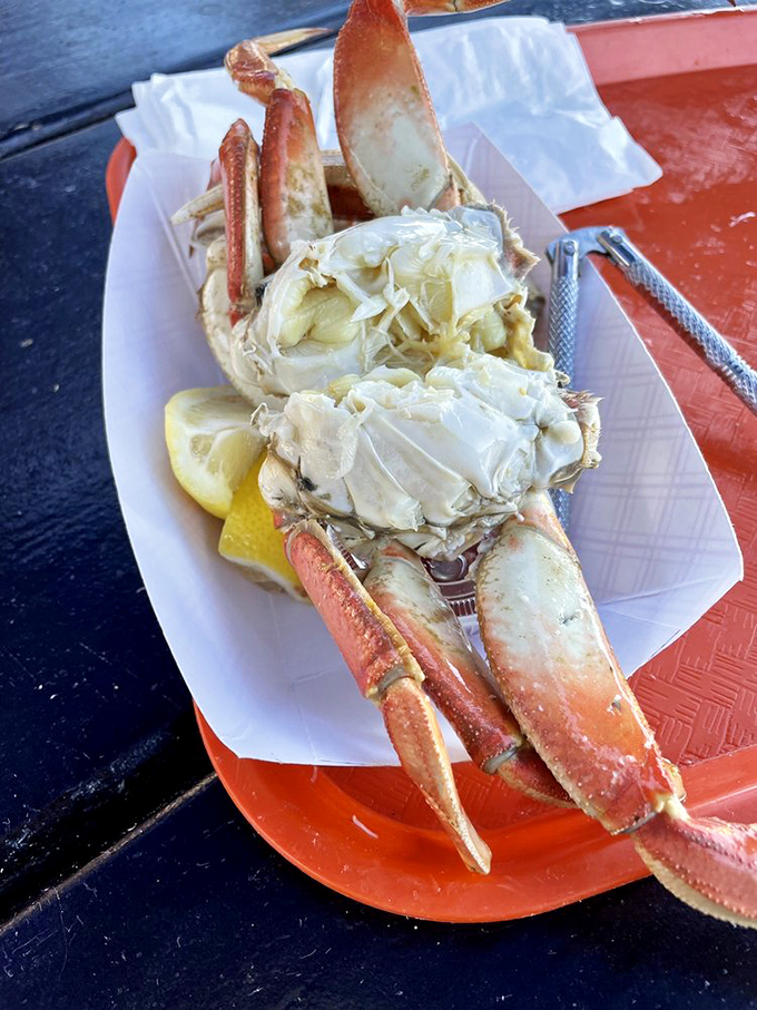 Dungeness crab legs that look like they're auditioning for a seafood calendar. Sweet meat that's worth every bit of the cracking effort.