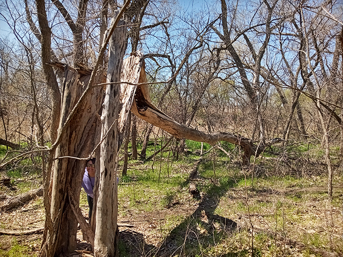Spring breathes new life into the woodland surrounding the caves, painting everything in fifty shades of green.