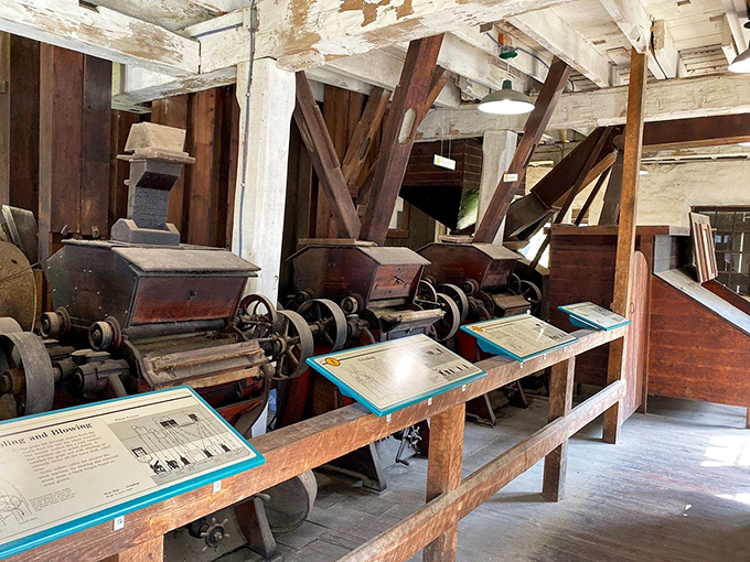 Inside the mill, these mechanical marvels once transformed grain into flour, an industrial revolution before "revolution" became a marketing buzzword.