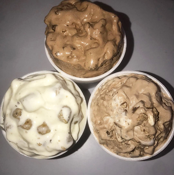Three distinct personalities in frozen form. Like the dessert version of a buddy comedy, each scoop brings its own character to this tasty ensemble.