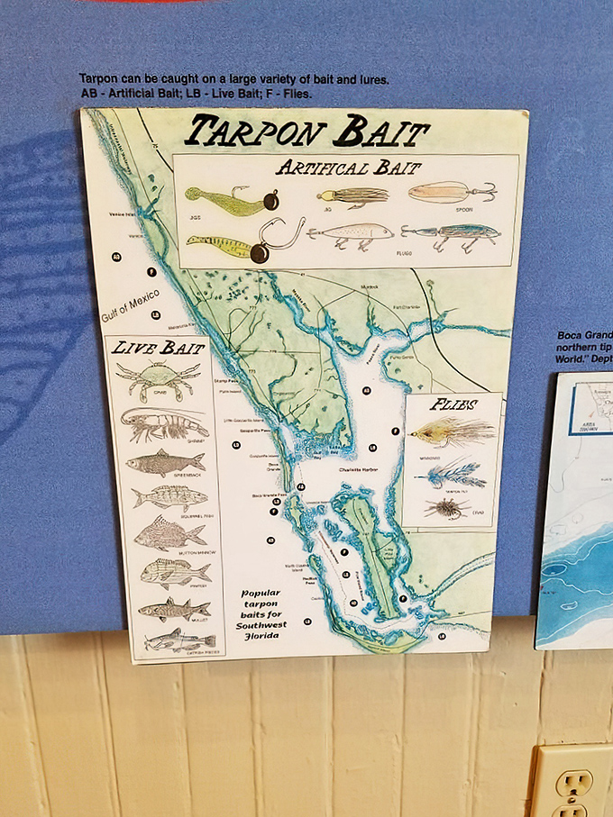 The fisherman's cheat sheet to glory. This tarpon bait guide might be the difference between "the one that got away" and "you should have seen what I caught!"