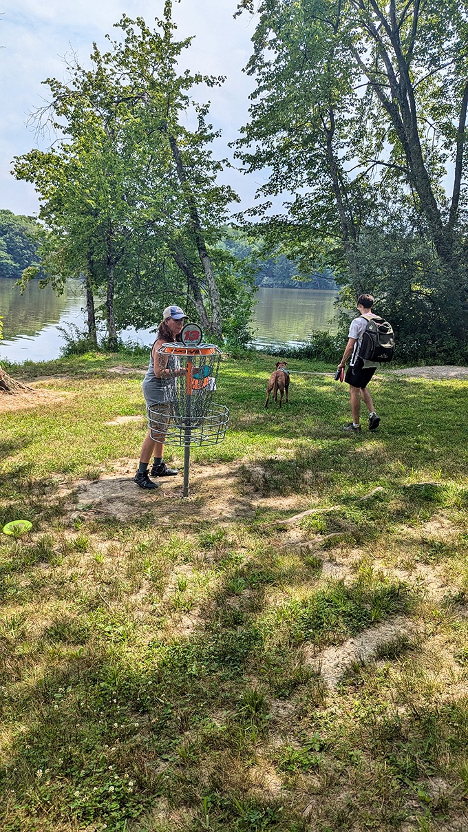 Disc golf: where frisbees meet purpose. This lakeside course offers the perfect excuse to fling plastic through the air while pretending it's actually exercise.