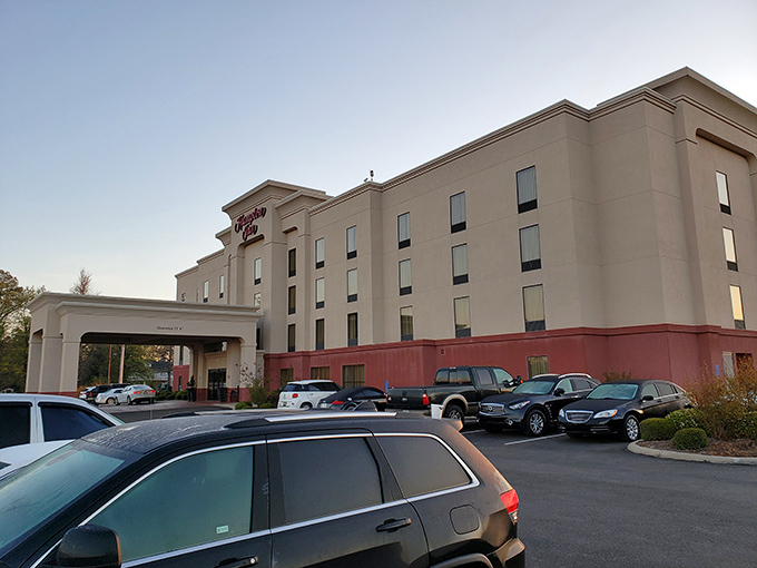 After a day exploring Delta treasures, Greenville's accommodations offer comfortable respite without emptying your retirement account.