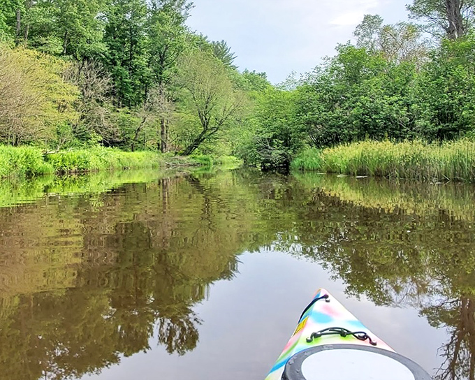Kayaker's paradise captured in one frame. The gentle waters and abundant greenery make even amateur paddlers feel like seasoned explorers.