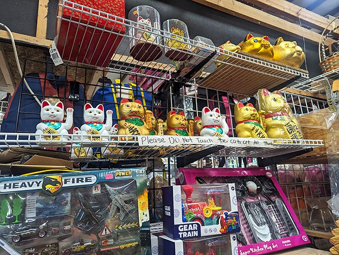 Lucky cats waving prosperity your way&mdash;no touching required! These feline fortune-bringers are the souvenir you didn't know you needed.