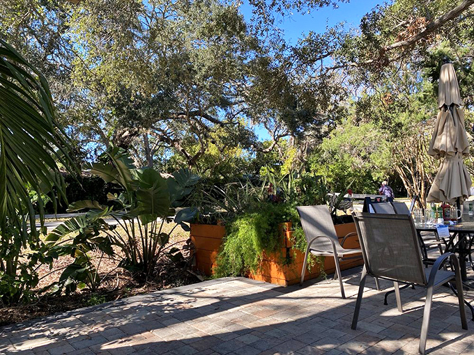 Dappled sunlight through Florida foliage creates nature's perfect dining room. The planters add just enough structure to remind you civilization isn't far.