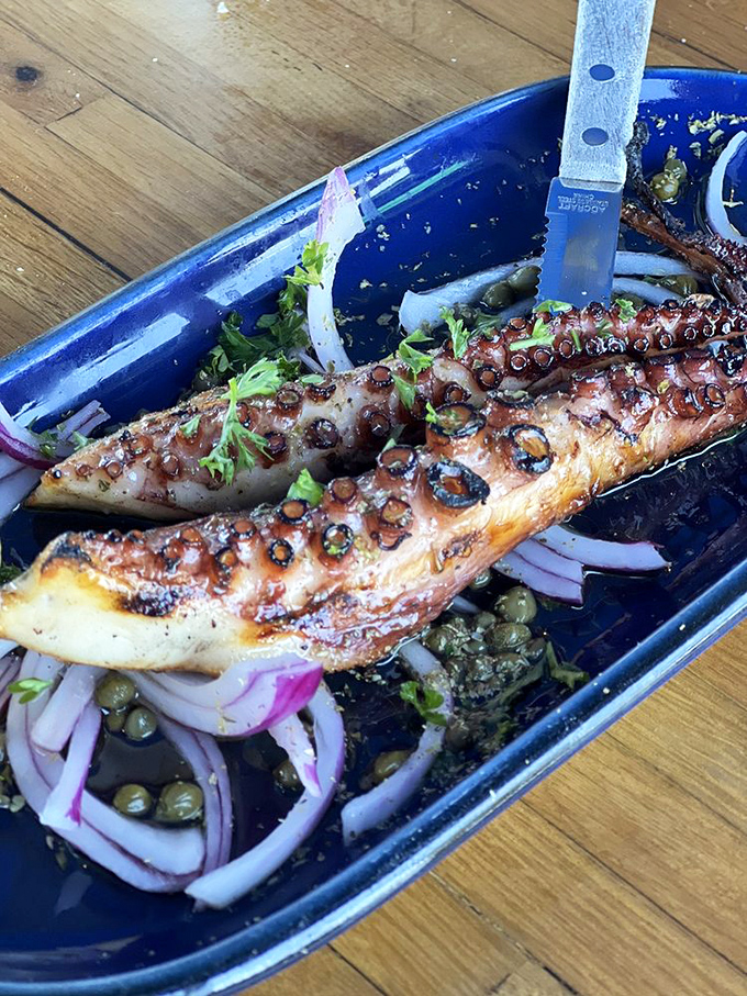 Octopus that's been convinced to be tender. Served with capers and red onion, it's the Mediterranean on a blue plate.