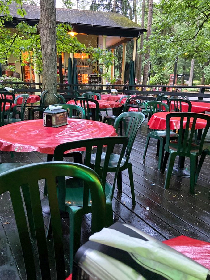Red tablecloths pop against the green forest backdrop, creating an outdoor dining room where trees serve as both walls and decor.