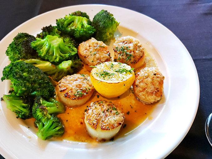 These scallops aren't just seared—they're transformed into buttery medallions of oceanic perfection, with broccoli standing by for the illusion of dietary virtue.