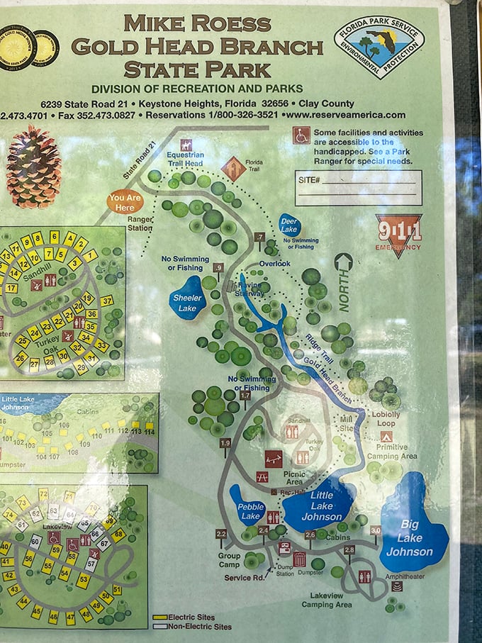 The treasure map to Florida's natural gold &ndash; no pirate required, just comfortable walking shoes and a sense of adventure.