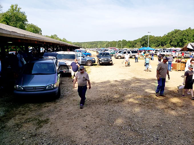 The parking lot tells the story. Trucks, cars, and SUVs from across the region converge for this weekly ritual of commerce and community.