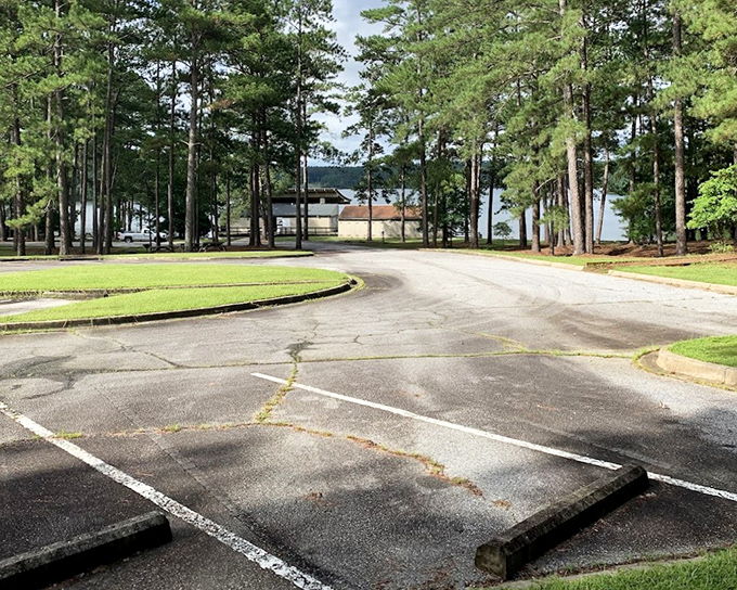 The winding entrance road promises adventure ahead, with glimpses of sparkling water between trees beckoning visitors toward lakeside serenity.