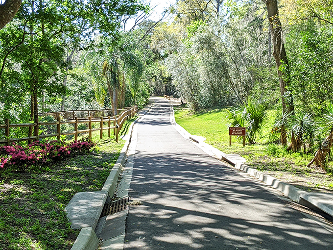 A paved path cutting through greenery so dense it feels like driving through a car wash made of foliage.