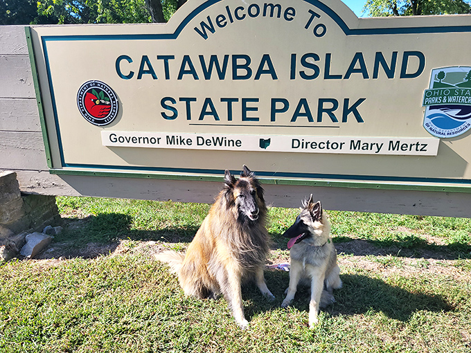 Four-legged tourists pose by the park entrance, clearly aware they've discovered the pet-friendly paradise their humans have been promising.