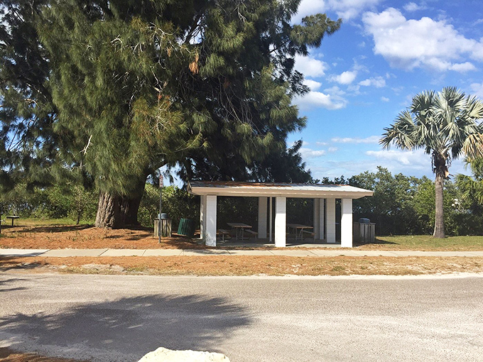 Simple pleasures in shaded comfort. This picnic spot offers five-star views with a zero-star price tag&mdash;the best kind of Florida real estate deal.