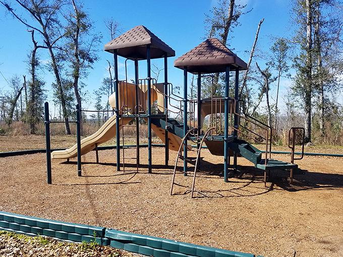 Little adventurers need playgrounds too. While the grown-ups recover from hiking, the kids can conquer their own mini-mountains.