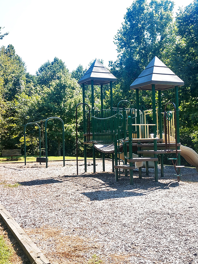 The playground where kids burn energy while parents secretly wish they could join in. Those tower slides would be just as fun at 45 as they are at 5.