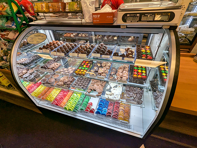 The dessert case &ndash; where willpower goes to die. Chocolate, cookies, and pastries arranged like jewels in a treasure chest of calories.