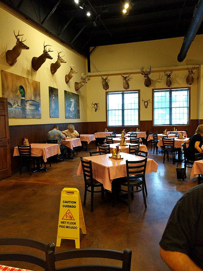 The dining room feels like a hunting lodge where the trophies watch you eat. Those deer have seen some serious food appreciation over the years.