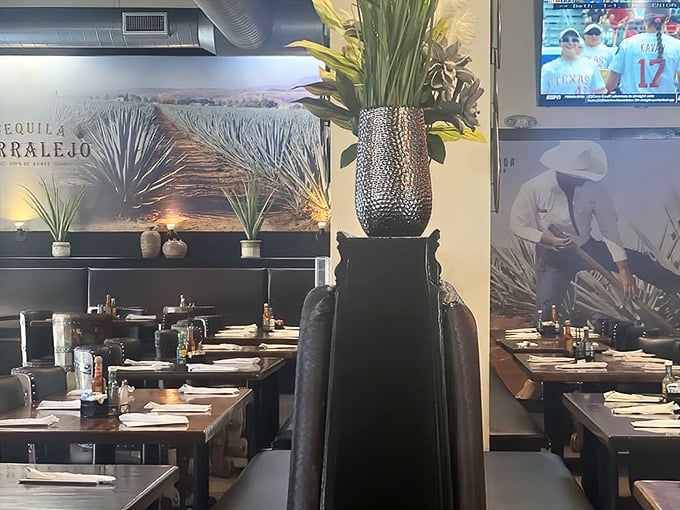 The agave-inspired wall murals and strategically placed greenery create an atmosphere that's equal parts urban Indianapolis and Mexican getaway.