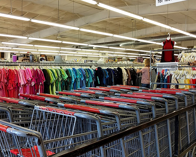A sea of red shopping carts stands ready for thrift warriors. The color-coded clothing section behind creates a thrifter's version of a candy store.