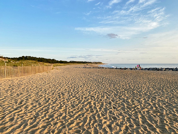 Social distancing, Delaware style. Miles of pristine shoreline where your only obligation is to occasionally wiggle your toes in the sand.