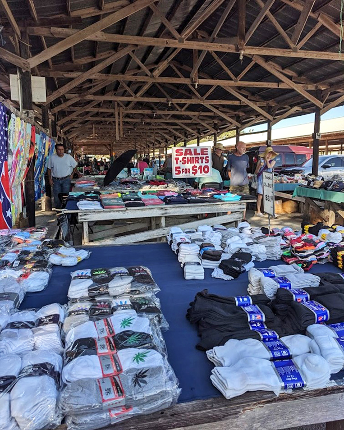 T-shirt territory where fashion meets function. Five for $10 means you can dress for a week without breaking the bank&mdash;Florida thrift at its finest.