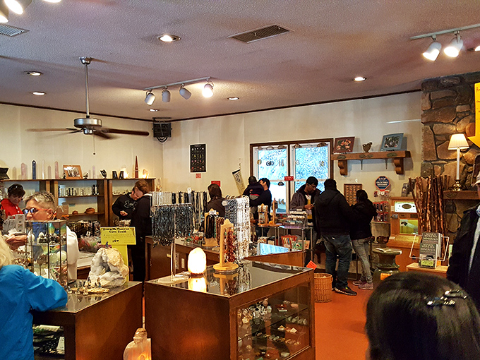 The gift shop offers tangible memories of an intangible experience—because "you had to be there" sometimes needs a souvenir backup.