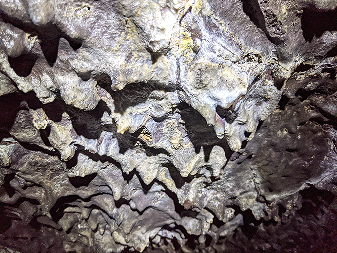 The cave walls tell stories of ancient lava flows in ripples and waves. These textured surfaces, illuminated by flashlights, reveal the dynamic nature of molten rock as it cooled.