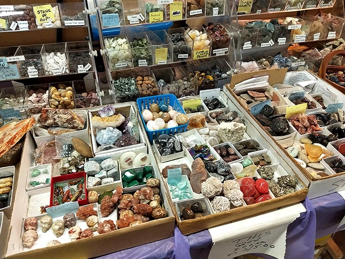 Nature's jewelry box! These polished stones and crystals transform geological specimens into conversation pieces for collectors and casual admirers alike.