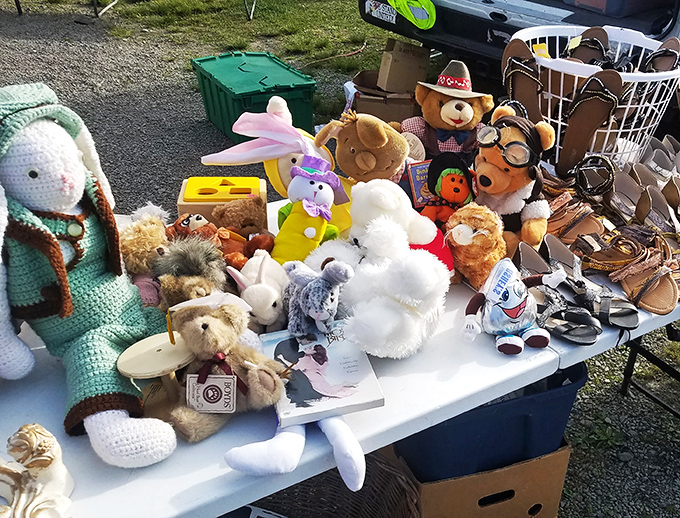 An island of abandoned teddy bears and plush friends huddle together, patiently waiting for children to give them homes and adventures.