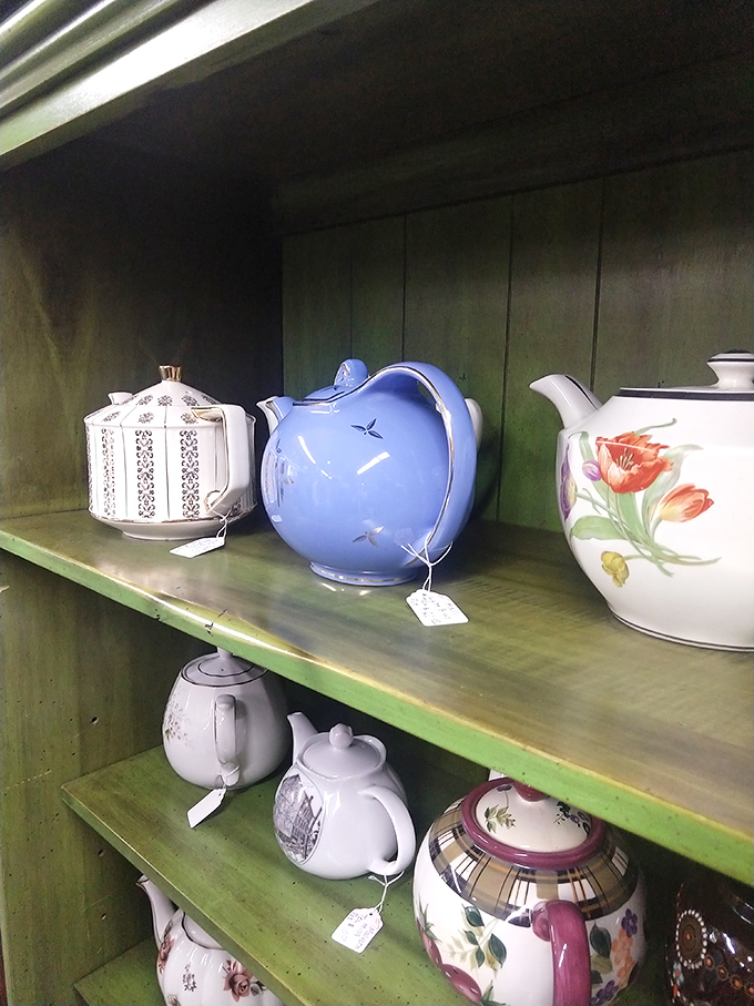 Teapots that have poured thousands of cups now rest on green shelves, their floral patterns and perfect spouts still ready for service.