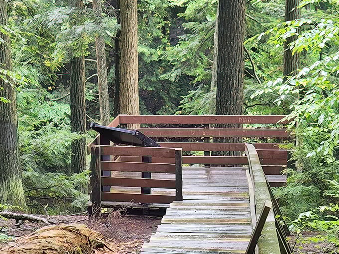 Nature's theater-in-the-round. This viewing platform offers front-row seats to one of Pennsylvania's most underappreciated performances: untouched wilderness.