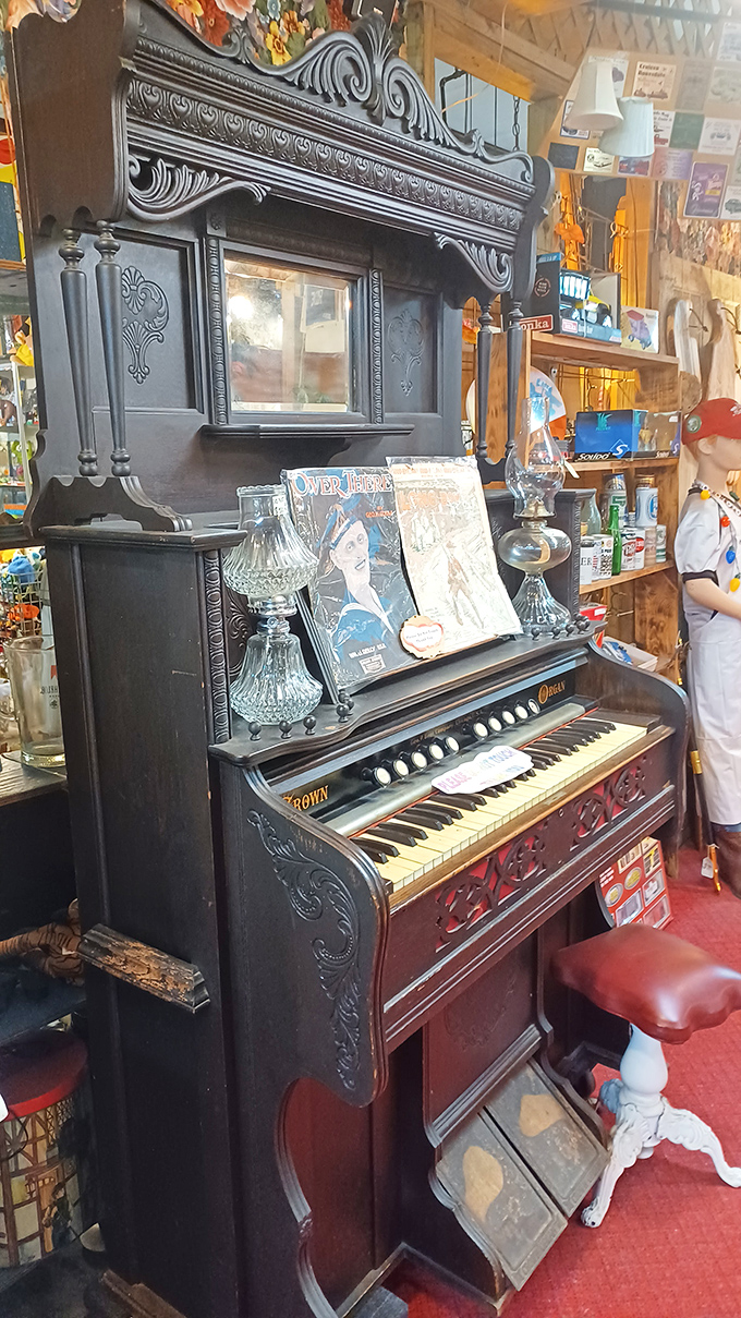 This Hot Wheels paradise would make any collector's heart race&mdash;glass cases protecting tiny treasures that grown men still dream about. 