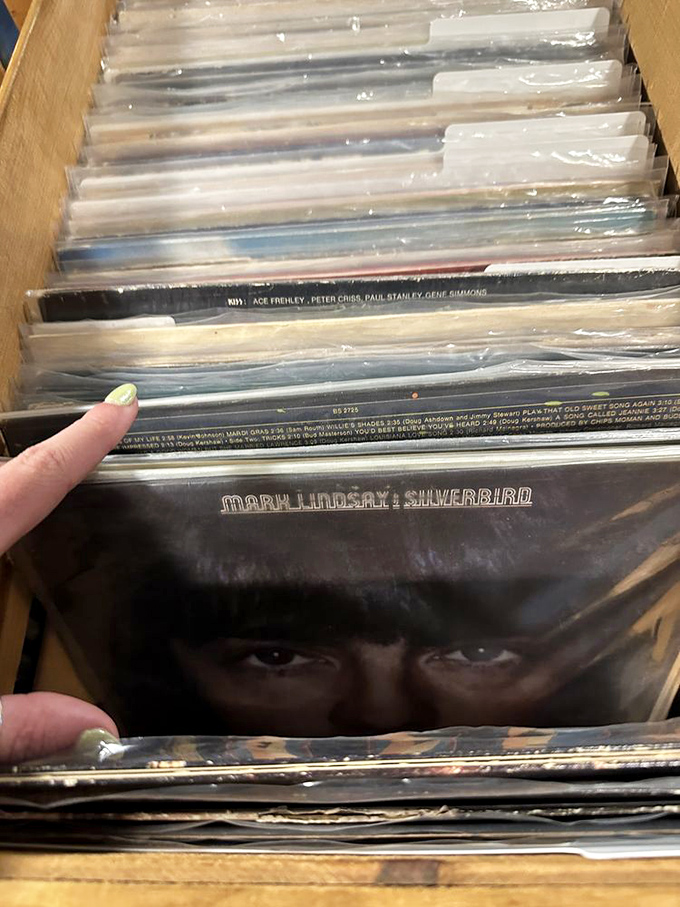 Vinyl record collectors know the thrill of the hunt&mdash;flipping through albums where forgotten gems hide between familiar classics, each cover art a time capsule.