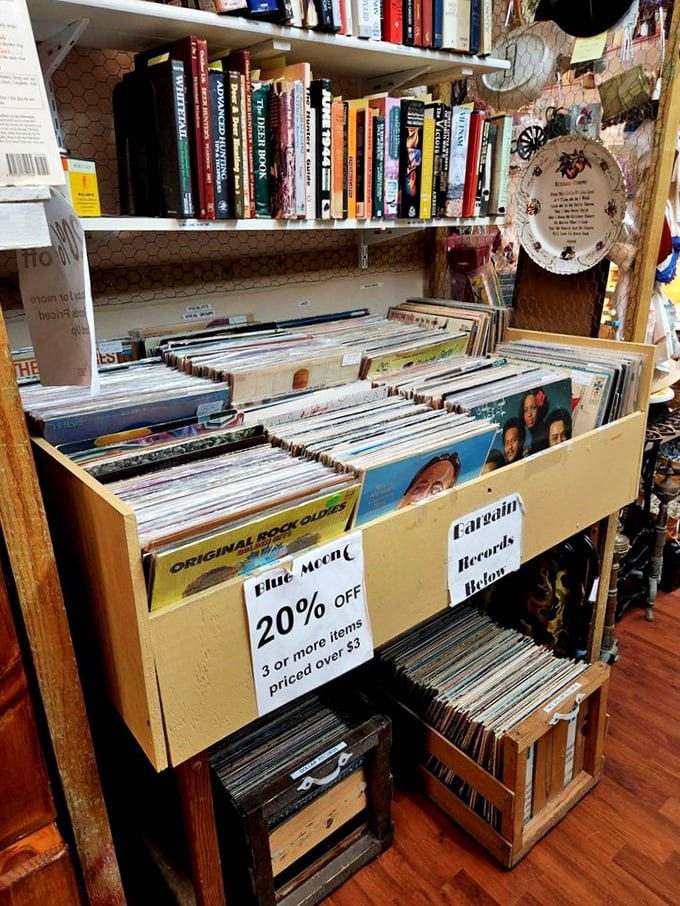 Vinyl records organized by people who understand that music sounds better with pops and crackles. The bargain bin is where the real treasures hide.