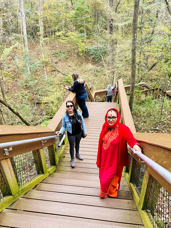 Visitors pause on the boardwalk to take in the view &ndash; experiencing that rare moment when "going downhill" is actually the highlight of your day.