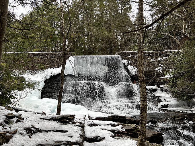 Winter transforms the park's waterfall into a frozen masterpiece that would make Elsa jealous. Worth every layer of clothing required to see it.