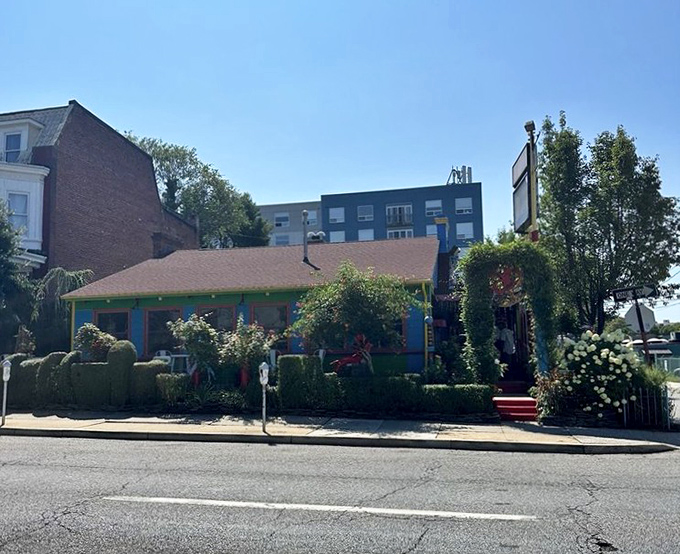 Papermoon Diner (Remington, Baltimore): A riot of color and whimsy where your inner child and your sophisticated palate can finally agree on where to eat.