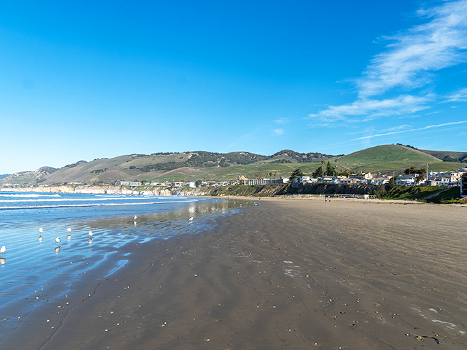 Pismo Beach's iconic pier stretches toward the horizon like it's trying to touch tomorrow before we get there.