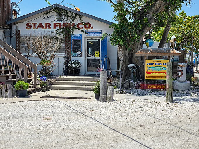 Old Florida still exists! Star Fish's humble white building houses seafood treasures that big-city restaurants can only dream about.