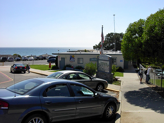 The golden sands of Pismo Beach meet rolling hills in a landscape that feels like California showing off its best angles.