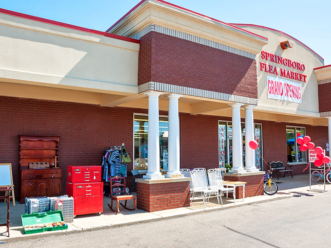 Behind those stately columns lies a world of treasures just waiting for their forever homes.